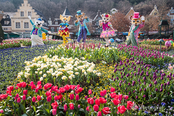 Đặt tour Hàn Quốc: Seoul - Đảo Nami - Công viên Everland - Panda World ...